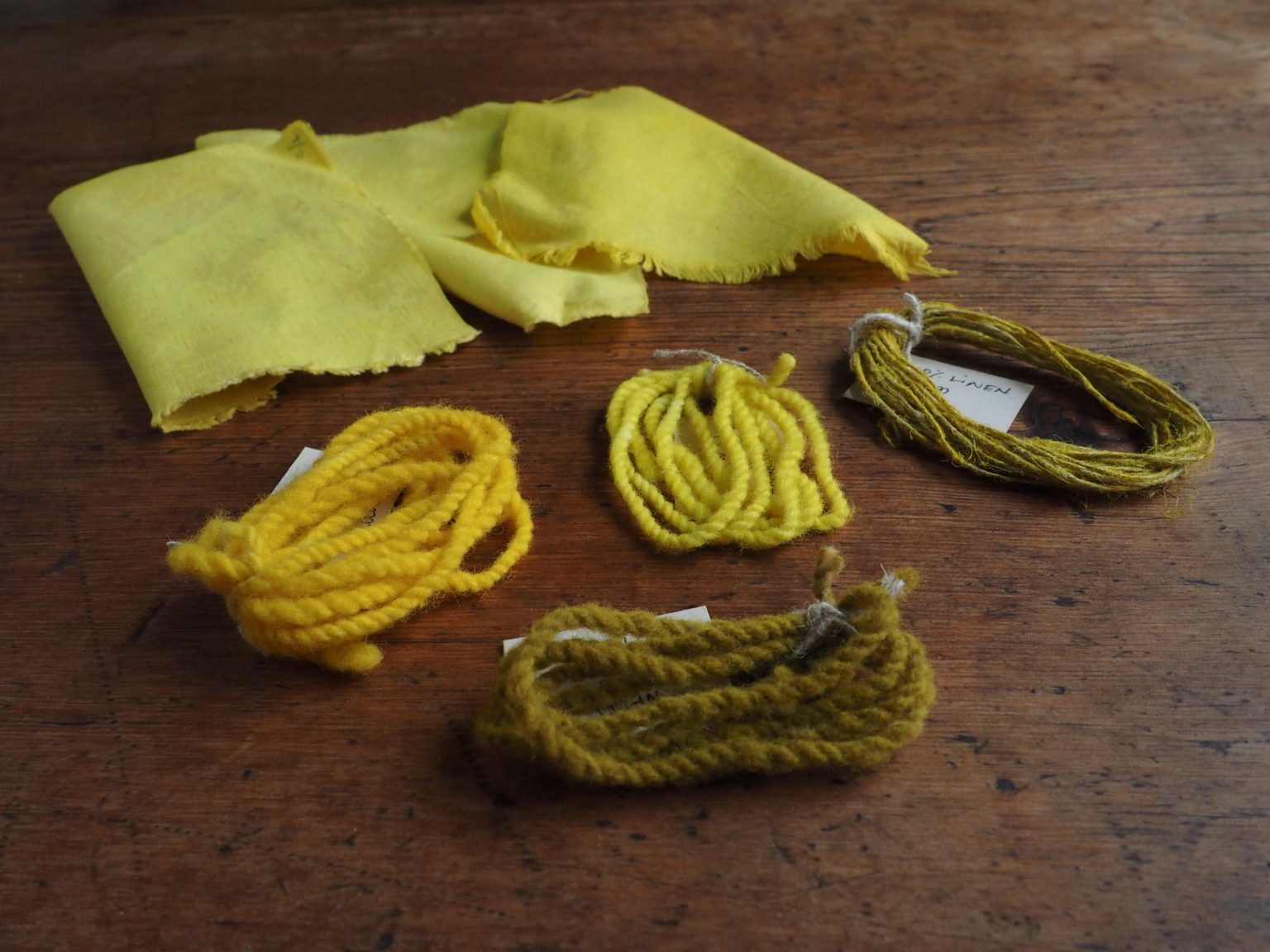 Weld Natural Dye Grown in Canada - Vibrant Acres